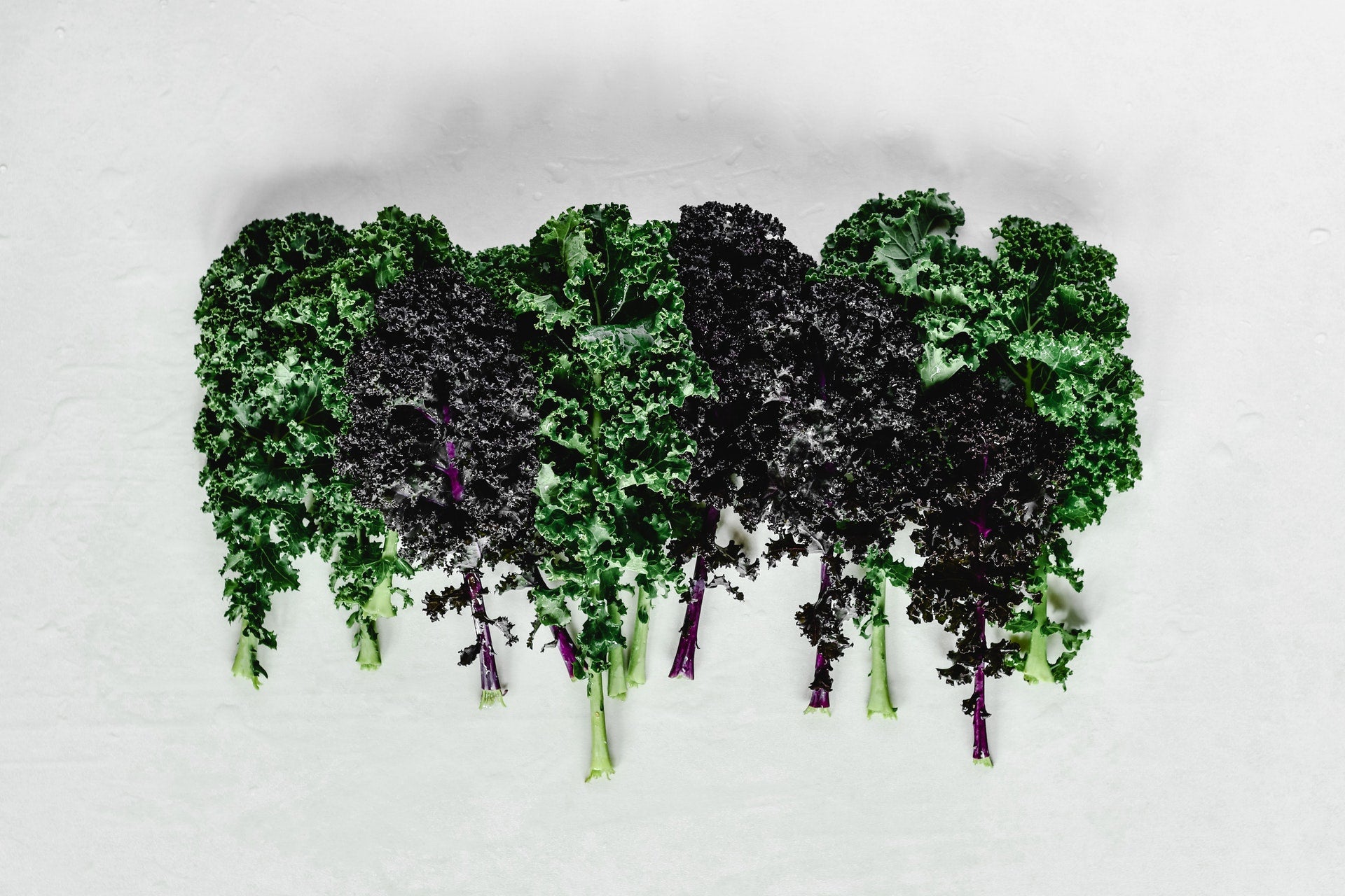 Kale: Everything you need to know about it – SparnDetox